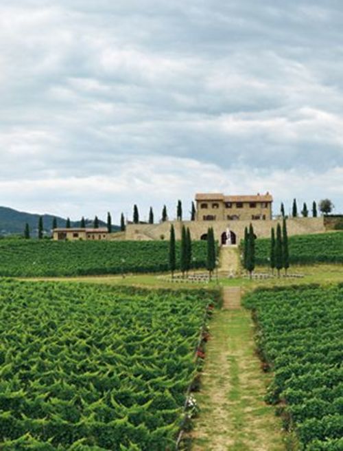 ブルネロ クチネリ銀座店の3周年イベントにPrecious読者30名をご招待します（PreciousNews）