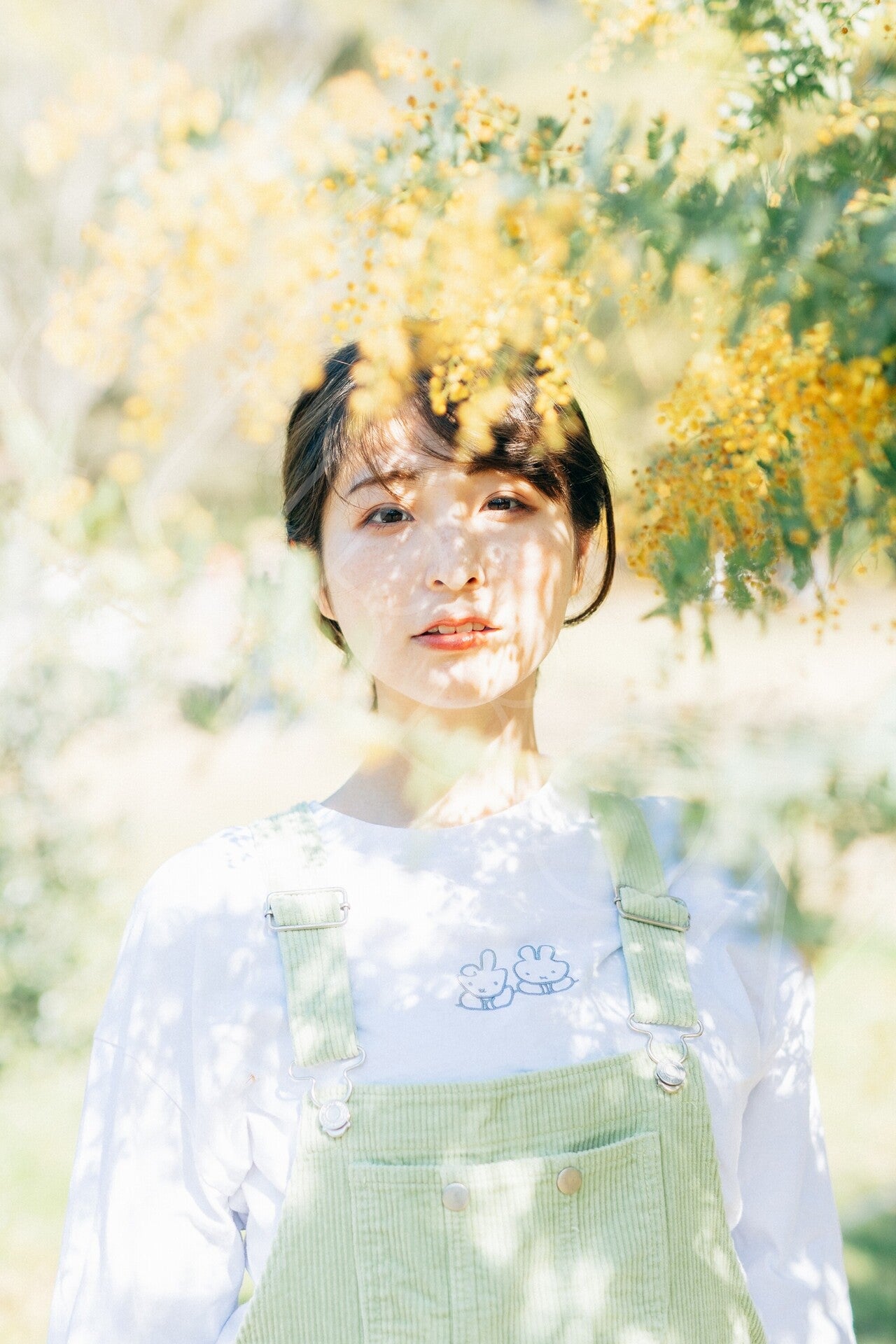 鈴木秀康さんLightroomプリセット「ALMIGHTY PRESET」（note（ノート））